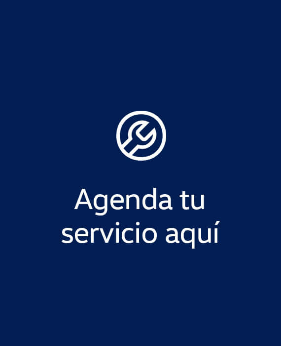 Bienvenido a Volkswagen Dizar